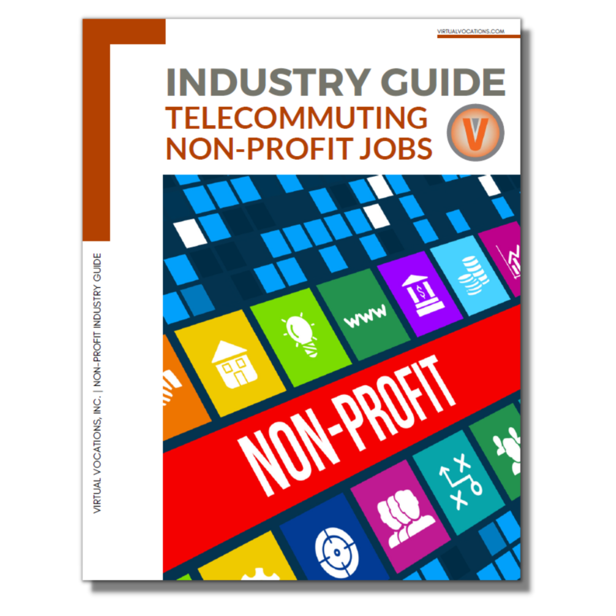 Remote Non-Profit Career Guide - Virtual Vocations